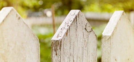 Tooth whitening - The DDU